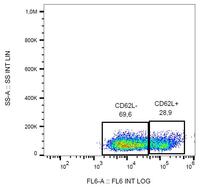 CD44 Antibodies | AntibodyResource.com